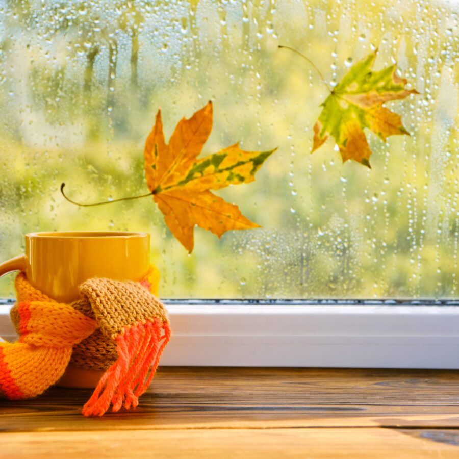 Fall Waterproofing Tips for Your Basement | CRACKMASTERS